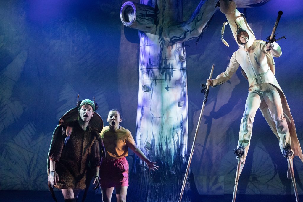 Giant Puppet Insects Take Centre Stage - The Joan Penrith